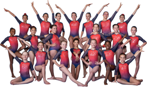 Girls Competitive Team - Rising Star Gymnastics