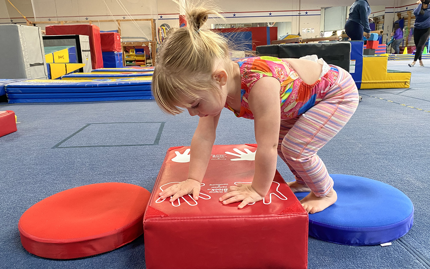 Daytime Playtime - Rising Star Gymnastics